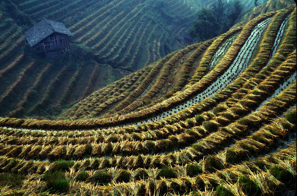professional landscape photographs of China, rice terraces, fishermen ...